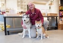 Na zes maanden vertrekt Hond & Koek alweer uit Kijkduin: ‘We balen heel ...