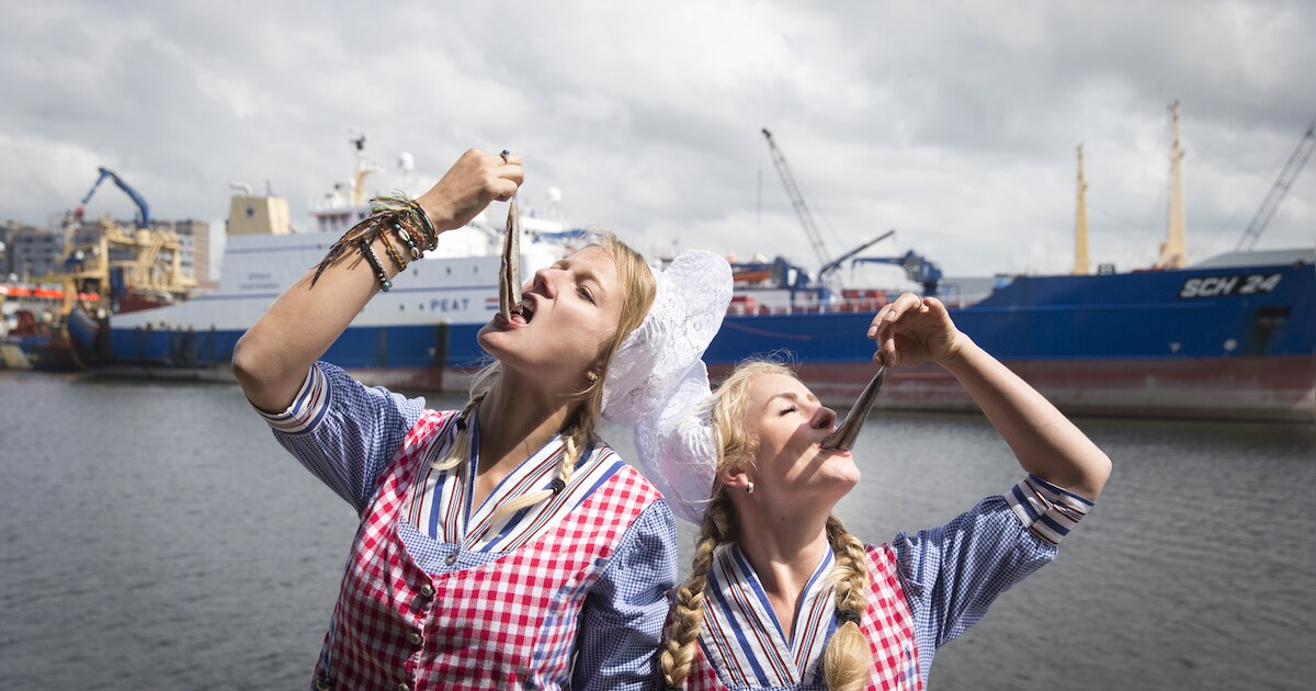Eerste vaatje haring brengt 90.000 euro op | Den Haag | AD.nl