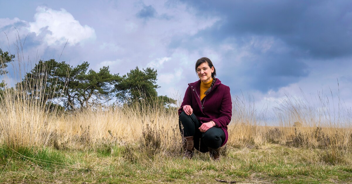 SP Arnhem houdt 'Parkpraat' over oorlog en vrede | Arnhem | AD.nl