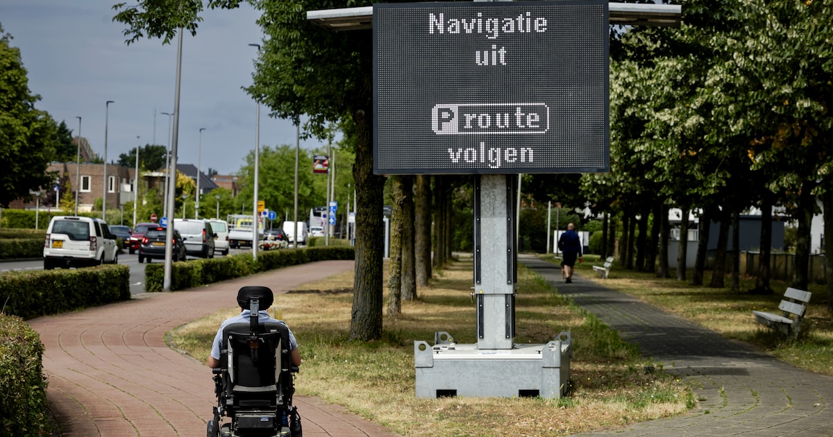 In het drukke Zandvoort zagen ze wat bewoners bij de Keukenhof hadden ...