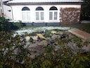 Matras vliegt in brand door elektrische deken in Budel | Foto | AD.nl