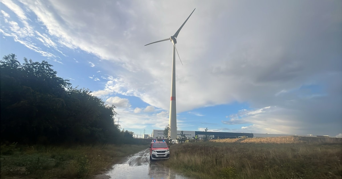 Man (29) bevrijd uit tandwielen van Belgische windturbine op 100 meter hoogte | Buitenland | AD.nl