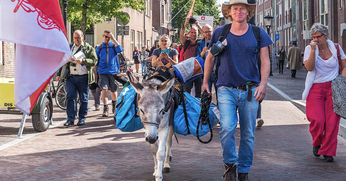 Ridder met ezel is weer thuis | Utrecht | AD.nl