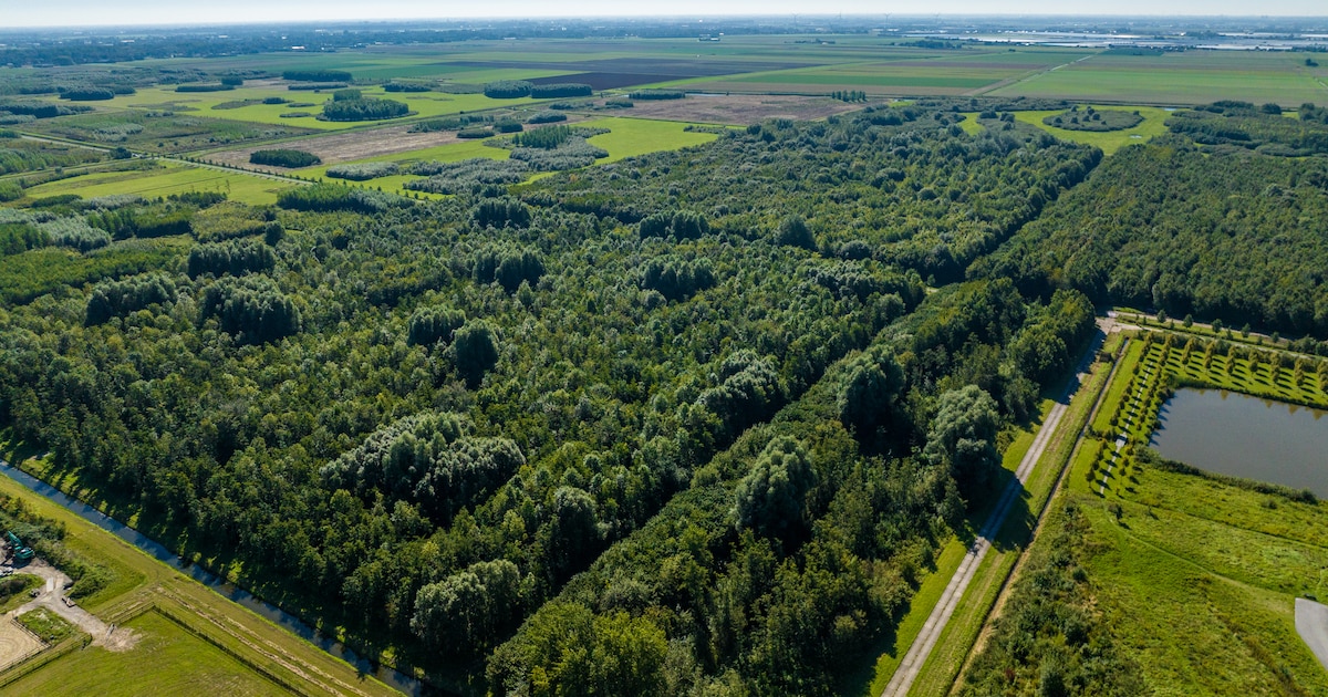 Waddinxveen wil betere eigen entree van het Bentwoud | Regio | AD.nl