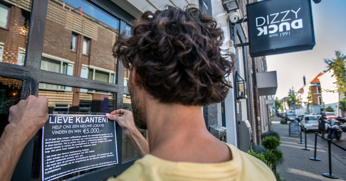 Populaire coffeeshop Dizzy Duck looft hoopvol 5000 euro uit voor gouden ...