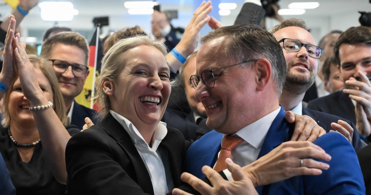 Duitse AfD is de schaamte voorbij: partij wil buitenlanders deporteren ...