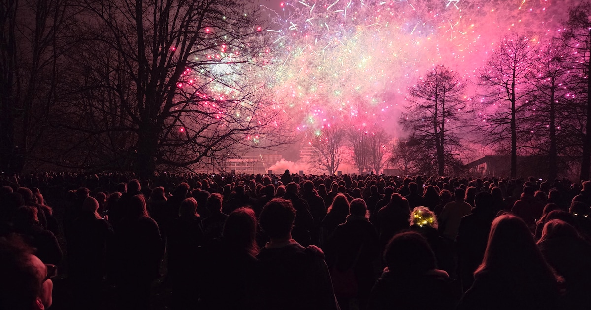Zwolle geniet van vuurwerkshow, maar afsteekverbod in de stad wordt ...