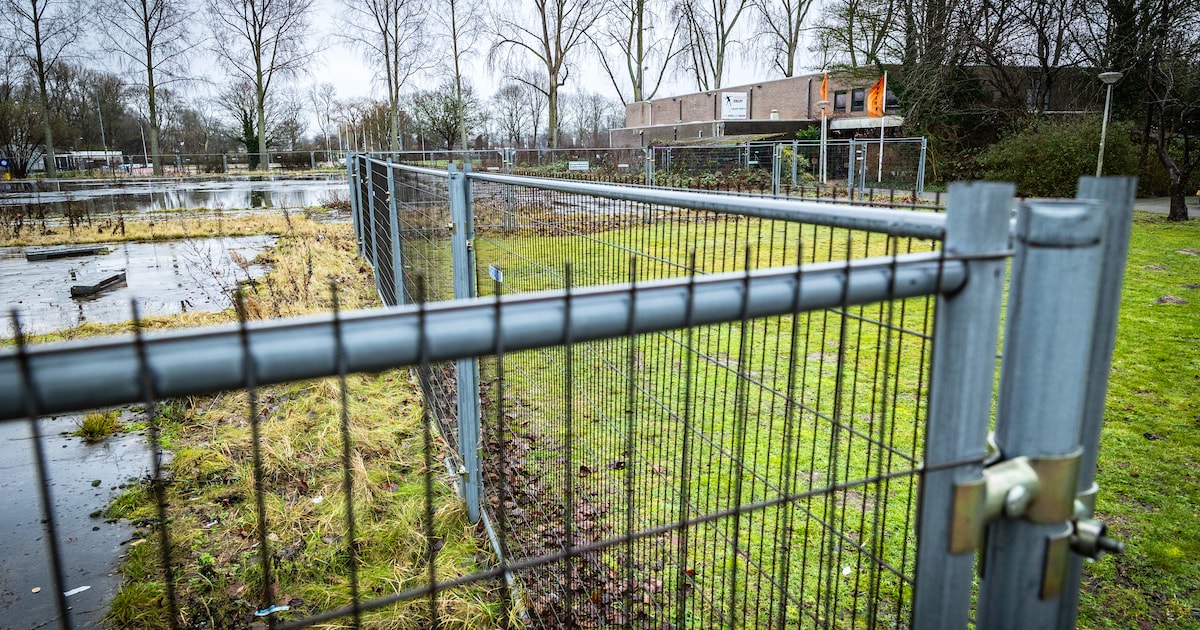 Twijfels over 90 flexwoningen bij Sportpark Brasserskade: ‘Wel ...