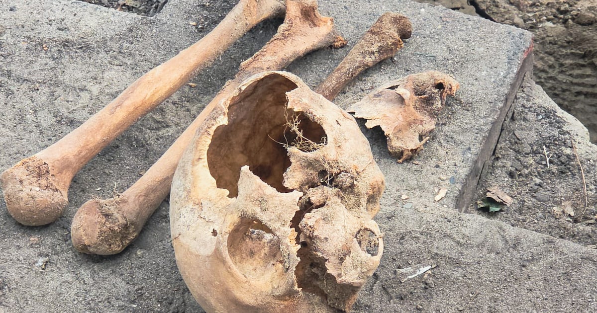 'Hele oude' botten en schedel gevonden bij opgravingen in centrum van ...