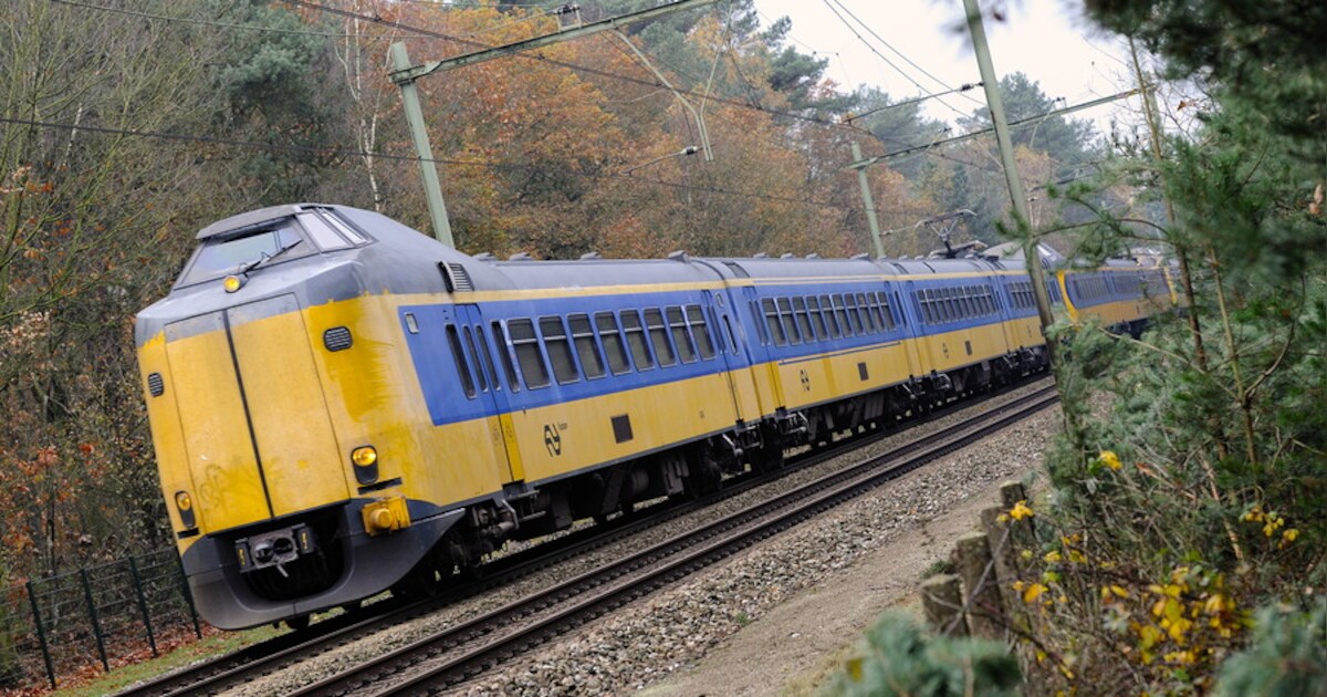 Zwartrijder dreigt uit trein te springen | Binnenland | AD.nl