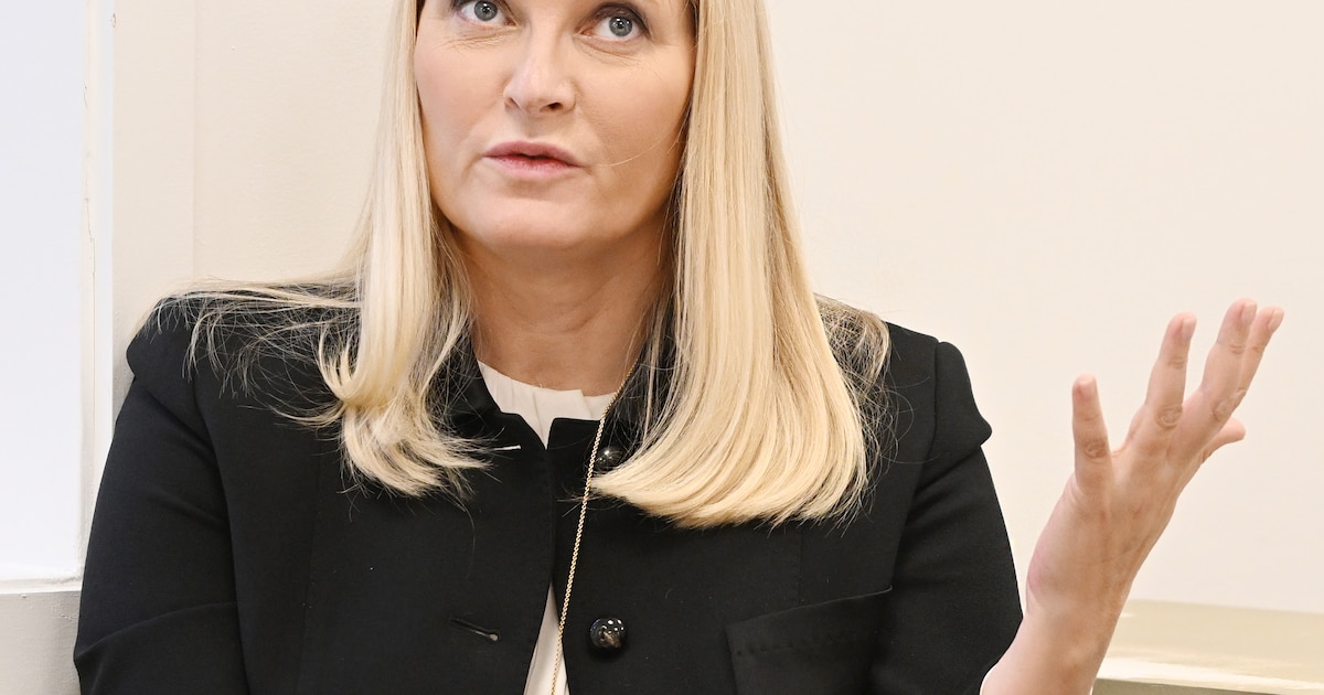 Nieuwe Epstein-files brengen prins Andrew nog dieper in de problemen ...