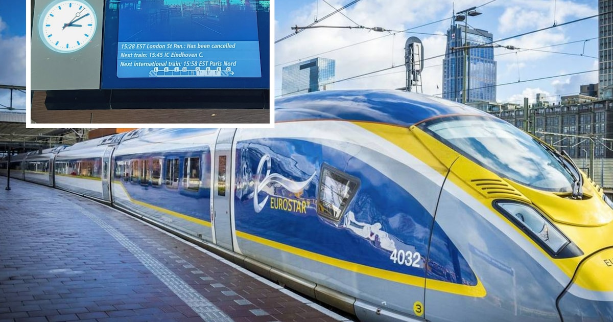 Teleurgestelde reizigers balen van schrappen Eurostar naar Londen: ‘We ...