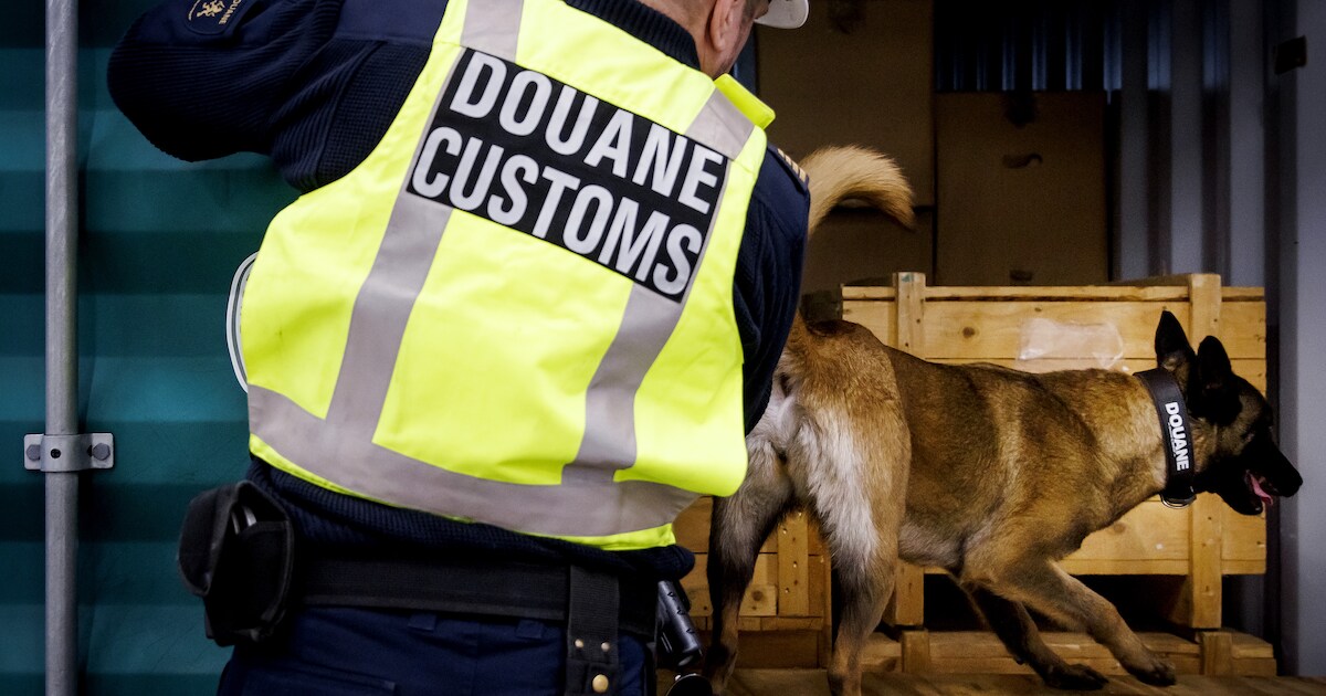 Hondengeleider is dierenvriend, maar krijgt toch straf voor slaan van ...