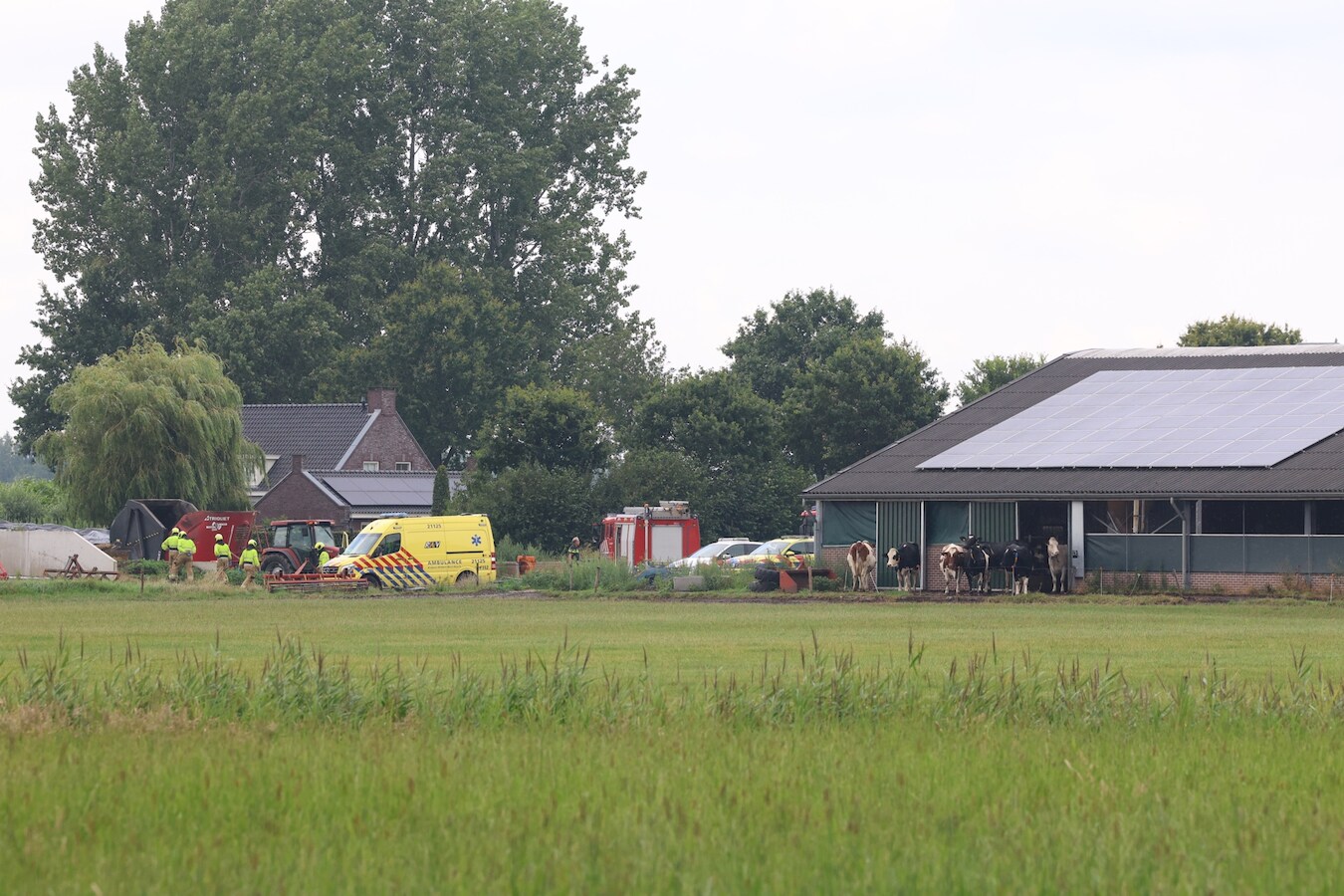Dodelijk ongeval op boerenerf in Schijndel, slachtoffer komt onder gekantelde shovel terecht ...