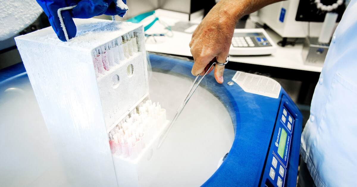 WHO: Één op de zes mensen wereldwijd, rijk of arm, is onvruchtbaar ...