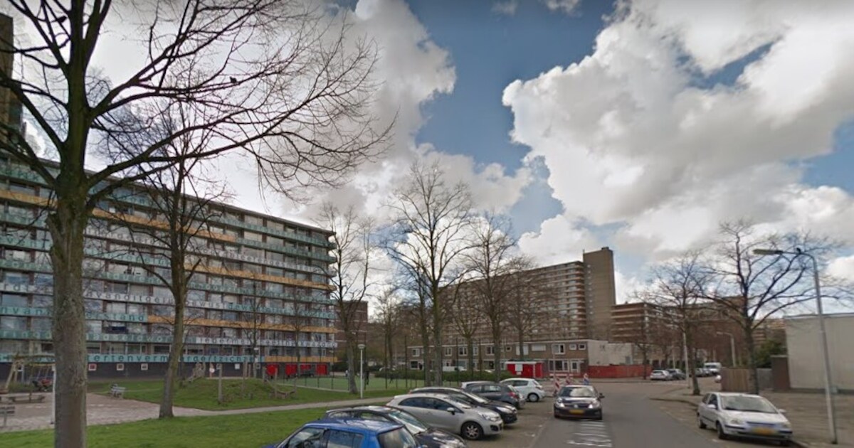 Dode en twee gewonden bij steekincident in Delft, verdachte aangehouden ...