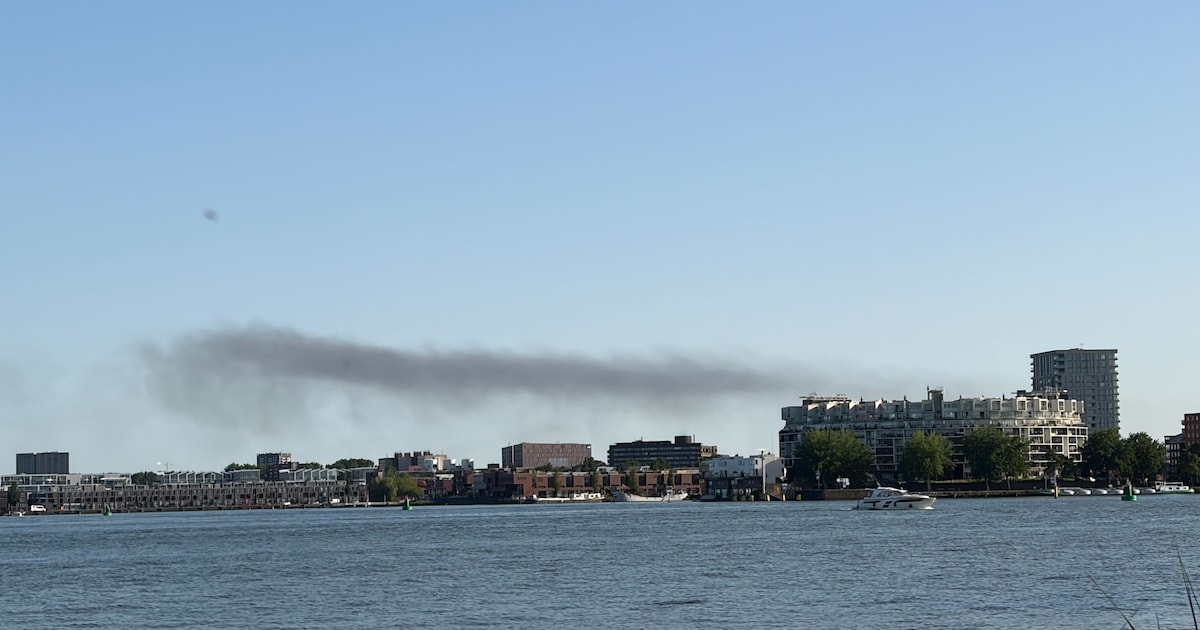 Grote brand bij volkstuincomplex in Amsterdam-Oost geblust, één persoon ...