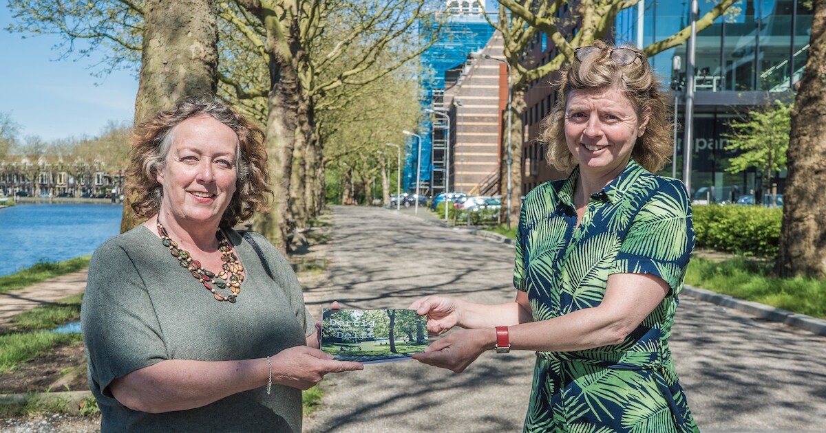 Willeke inspireert Delftenaren met dertig groenideeën: ‘Een straat met ...