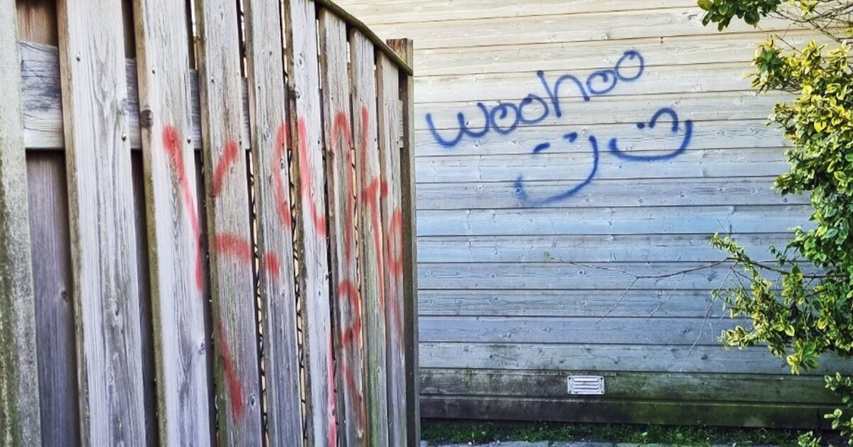Minderjarige graffitispuiters aangehouden voor reeks bekladdingen in ...