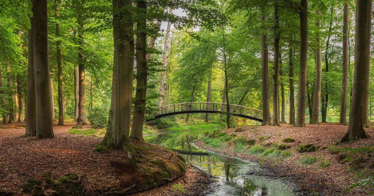 Speuren en poffen bij herfstwandeling op Landgoed Voorstonden | Zutphen ...