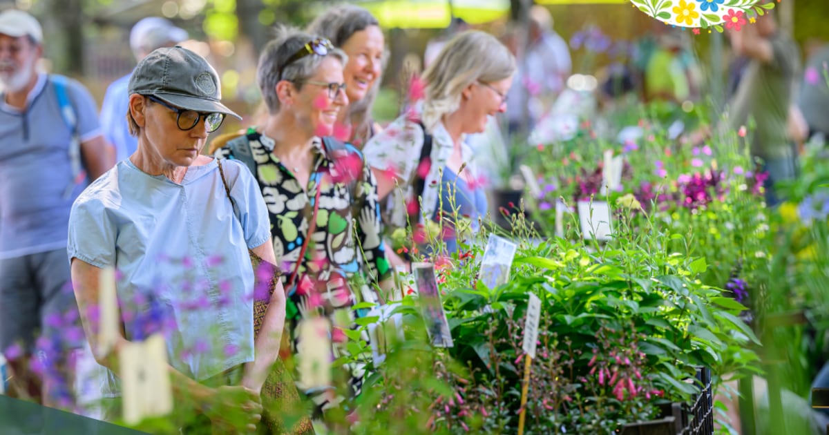 Appeltern viert plantenfestijn met 'Flower Power uit eigen tuin ...