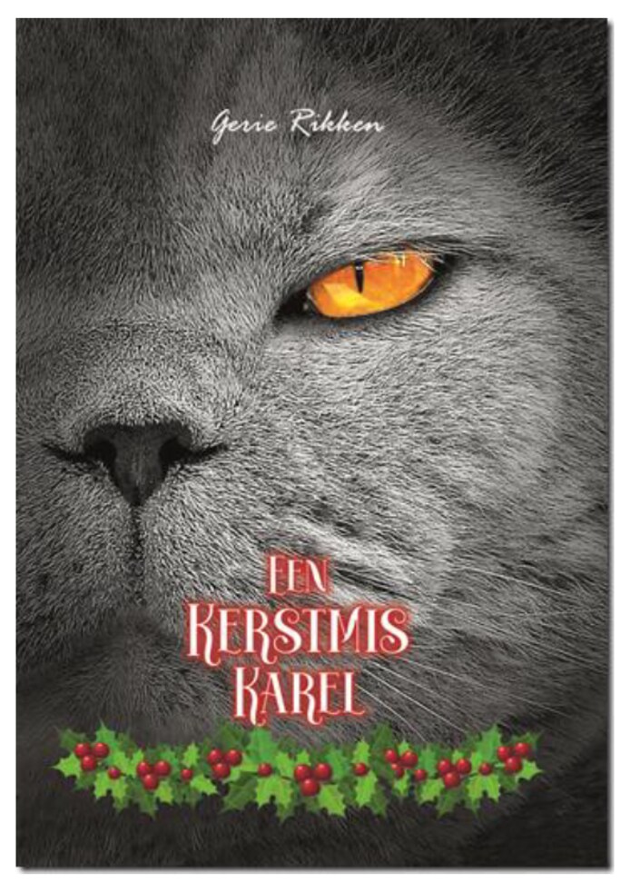 Karel de kater beleeft Kerstmis zoals Scrooge in het nieuwe boek van ...