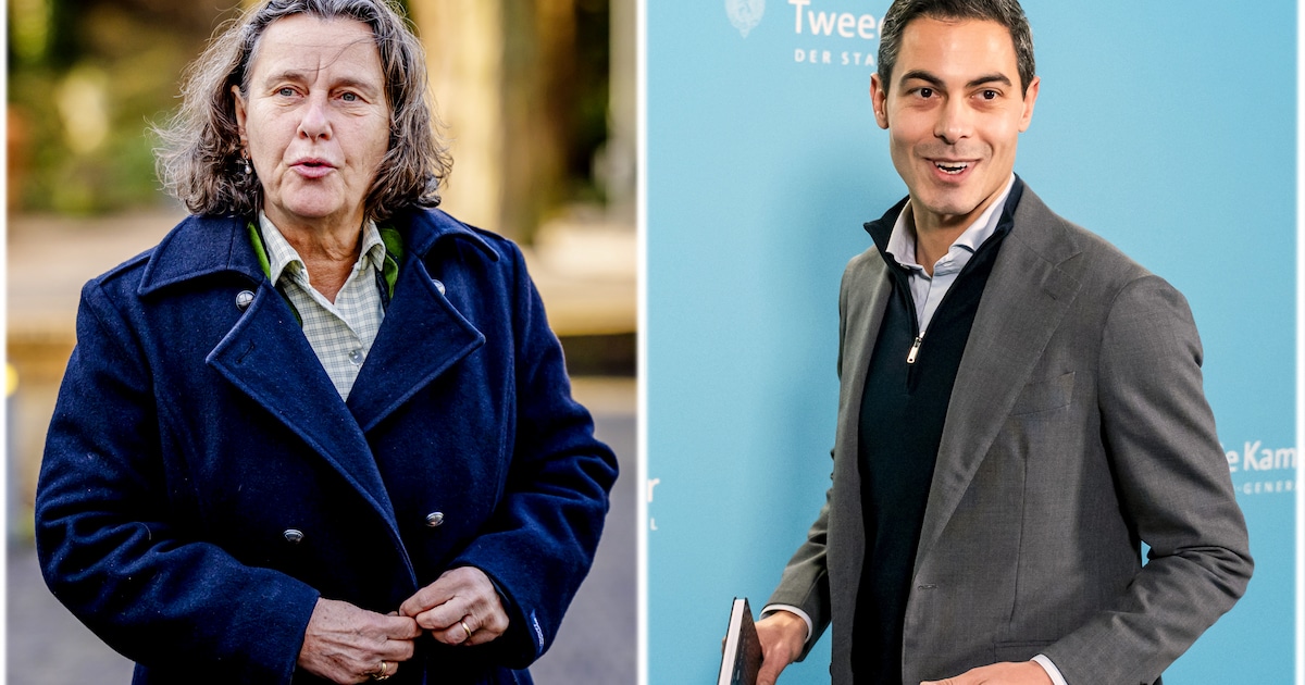 D66 en CDA hadden bezwaren, maar kabinet-Jetten voert strenge ...
