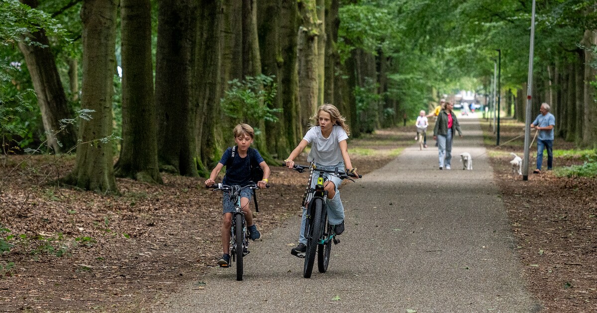 Advies aan scholieren Utrechtse Heuvelrug: fiets vanwege de wolf niet ...