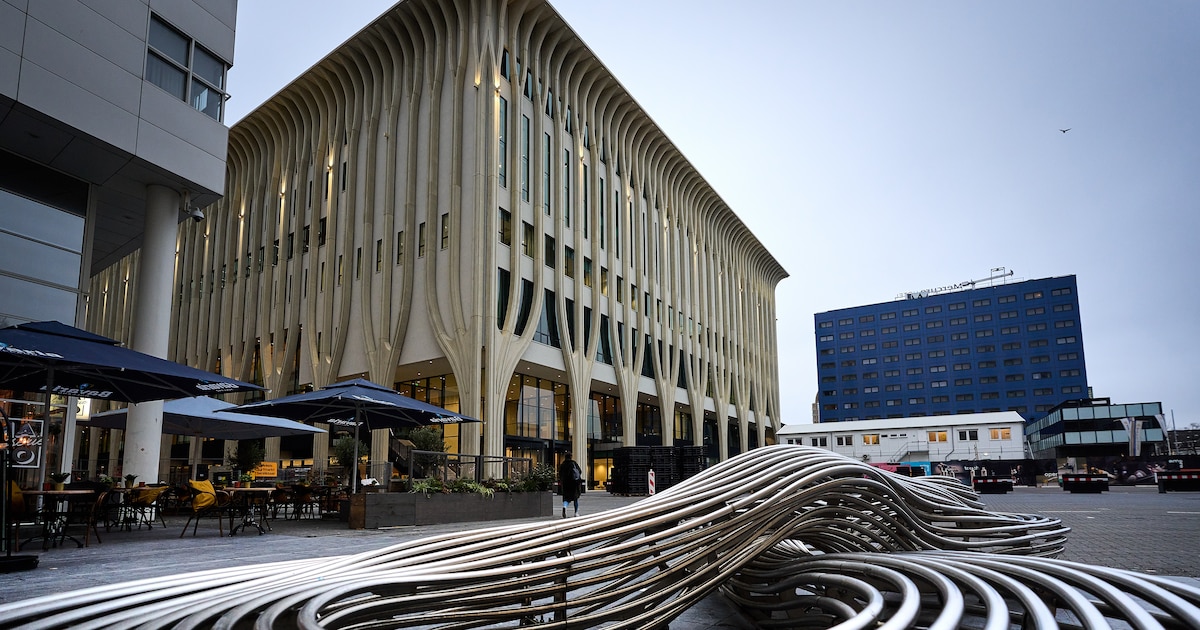 Lies Colman nieuwe directeur Koninklijk Conservatorium Den Haag | Den ...