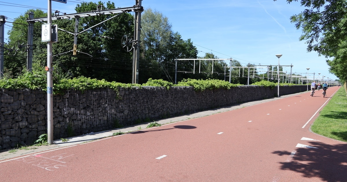 Angst onder Amersfoorters groot nadat keel van vrouw wordt ...