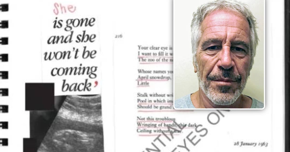 Verontrustende dagboekfragmenten suggereren dat Epstein geheim kind had ...