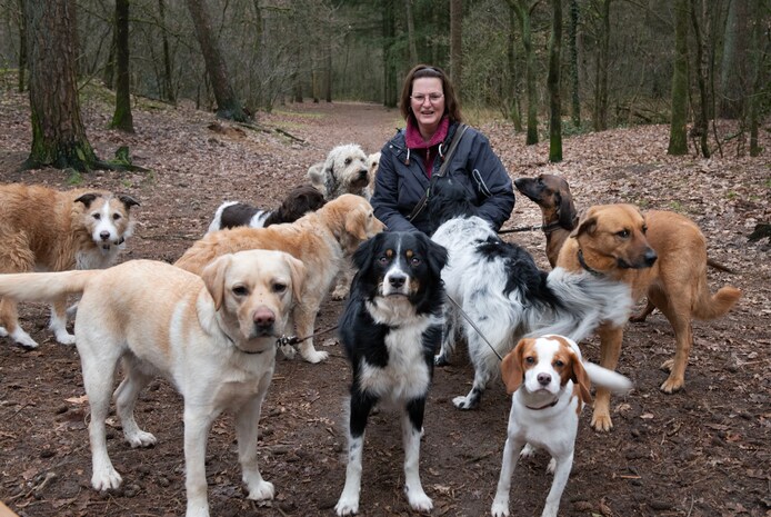 Eigen stuk weiland met daarop een dagopvang voor honden: Ingrid vecht ...