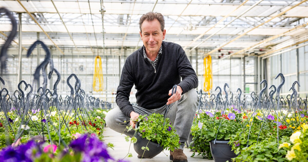Het Ambachtse Florensis kweekt ruim een miljard jonge plantjes per jaar ...