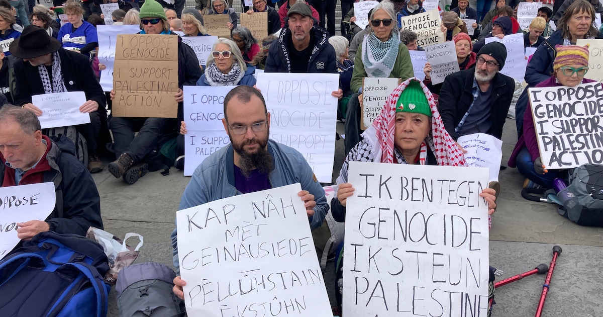 Activist opgepakt in Londen na Palestina-protest in het plat Haags ...