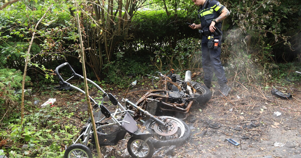 Rook uit struiken blijkt brandende motor | Den Haag | AD.nl