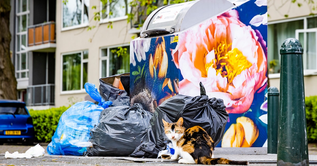 Ondergrondse afvalcontainers veranderen in bovengrondse: ‘Eén groot ...