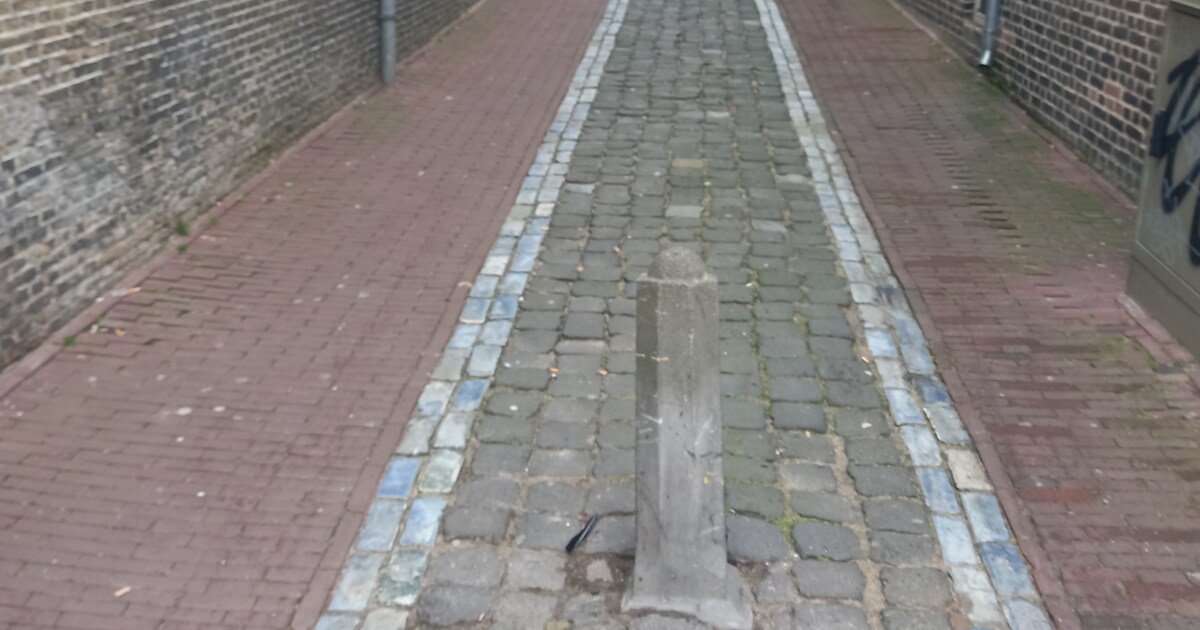 Mari ziet ‘pokkepaaltje’ in het donker over het hoofd en loopt ...