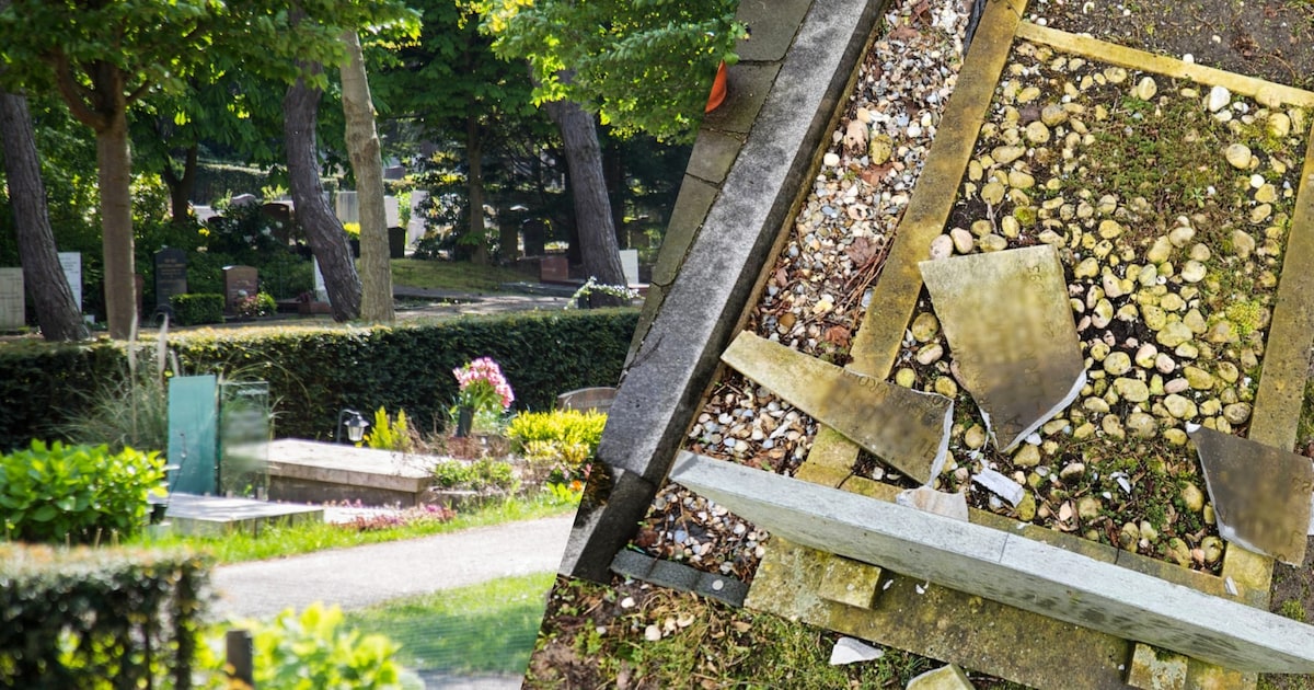 Verdachte vernieling graven Den Haag eerder hiervoor veroordeeld | Den ...