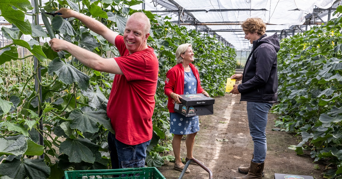 Edwin (41) leeft helemaal op bij Boeregoed: ‘Ik ben zó blij dat ik dit ...