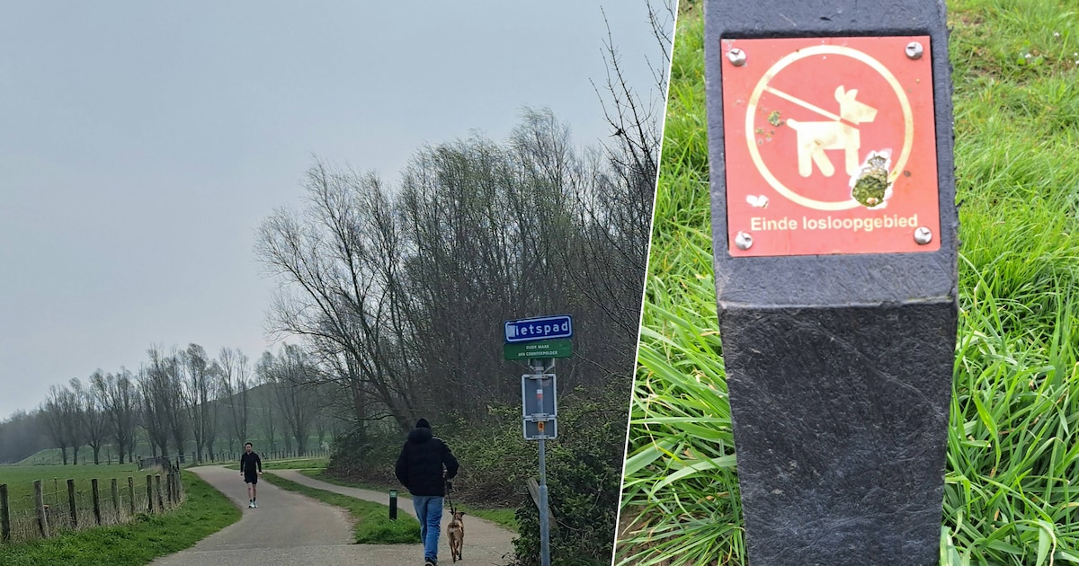 Zoveelste bijtincident in polder: roep om duidelijke grens ...