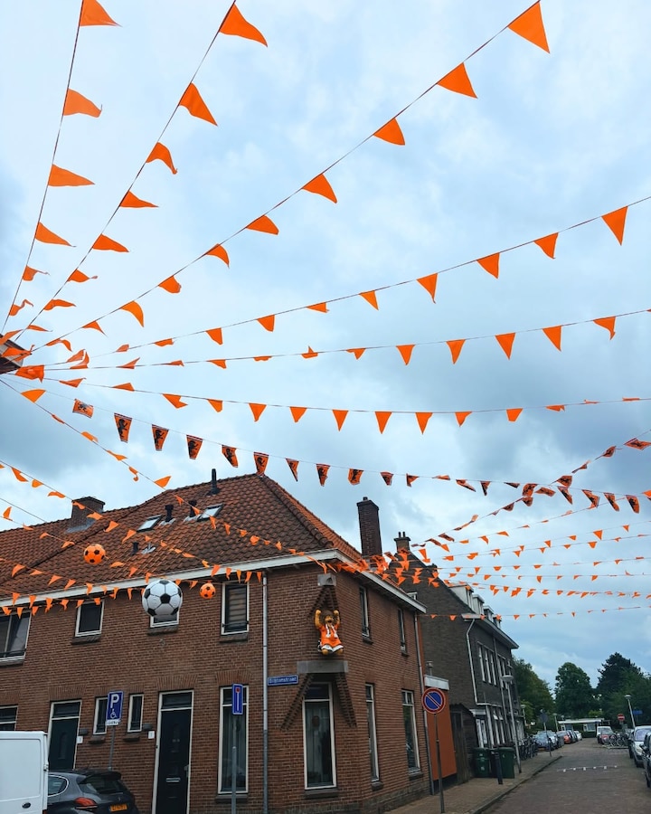 WK-feestje bouwen? Deze regels gelden in Delft | Foto | AD.nl
