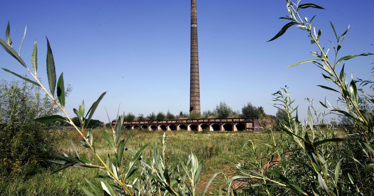 Hoe een historisch industriële locatie in Vuren verandert tot een ...