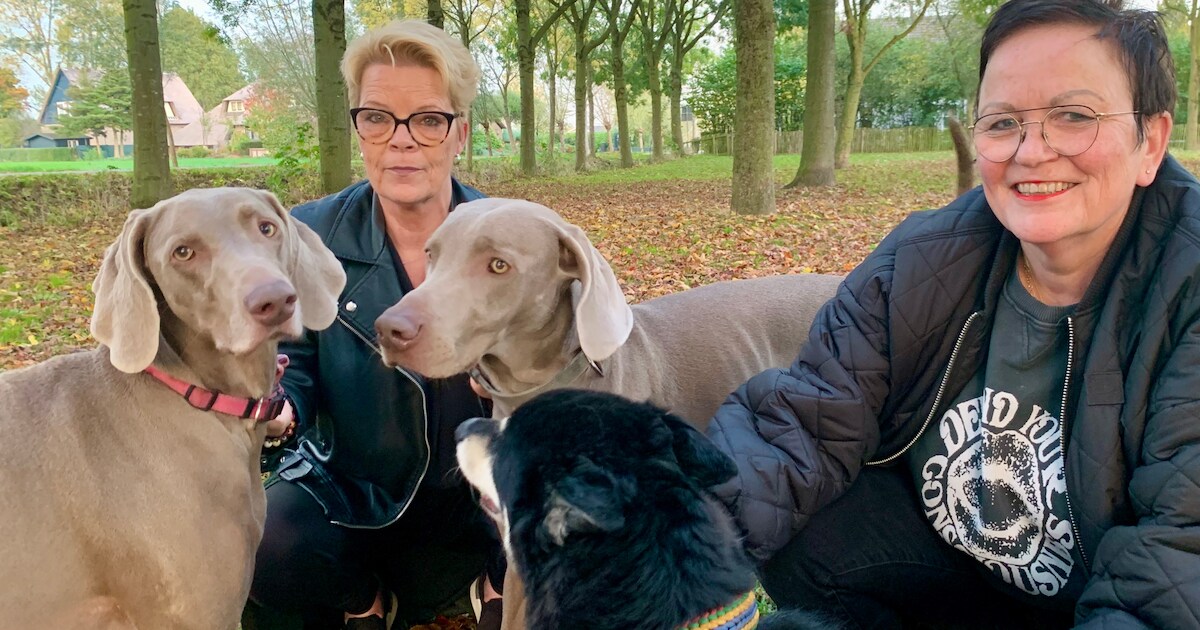 Gina en Diana zitten elke dag een uurtje in het hondenuitlaatveld op ...