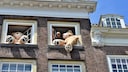 Bij de B&B van Silvia en haar man hangen vijf levensgrote beren uit het ...