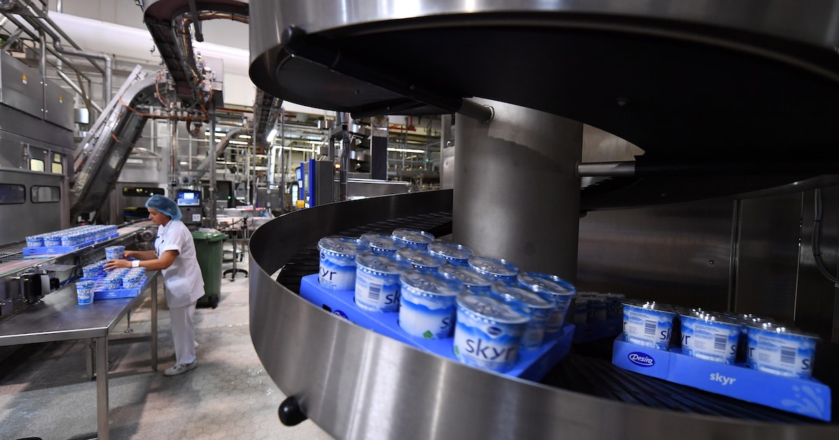 ‘Superkwark’ skyr vliegt winkels uit, maar is het eigenlijk wel beter ...