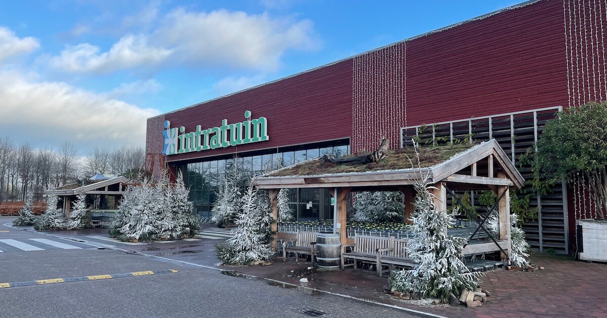 Jingle all the way naar Breda: dit is wanneer de Intratuin kerstshow ...