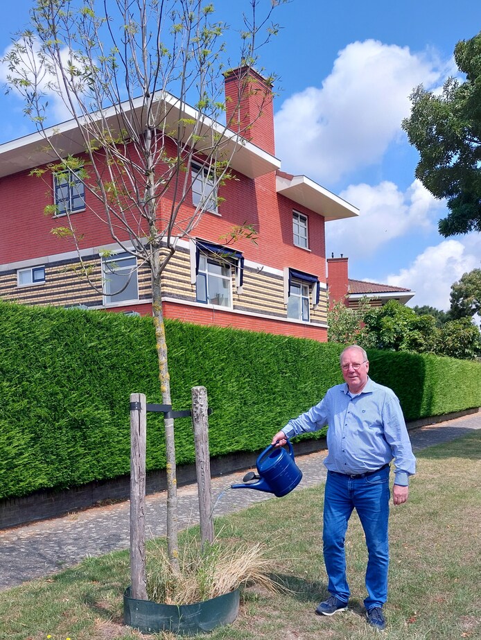 Jonge bomen hebben het moeilijk in te droge zomer: ‘Pak zelf ook af en toe een emmertje’, zegt ...