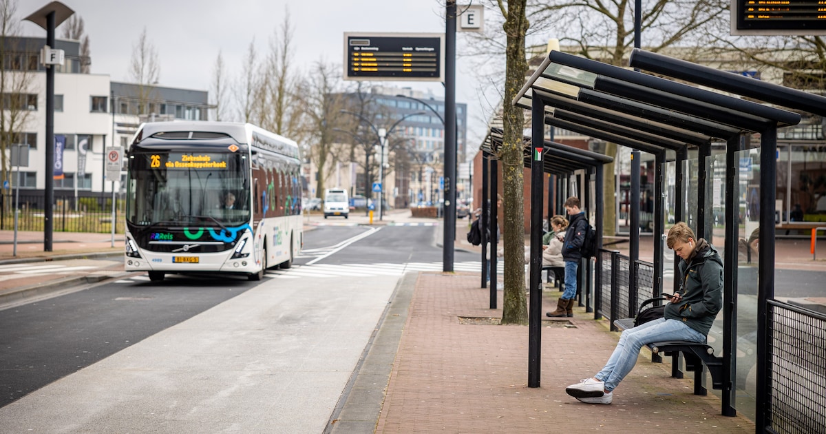 Nieuwe tarieven RRReis bussen in Veluwe Zuid | Regio | AD.nl