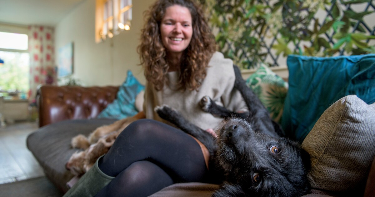Nest van processierups werd hondje Tara in Enschede bijna fataal ...