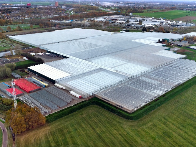 Houten | AD.nl